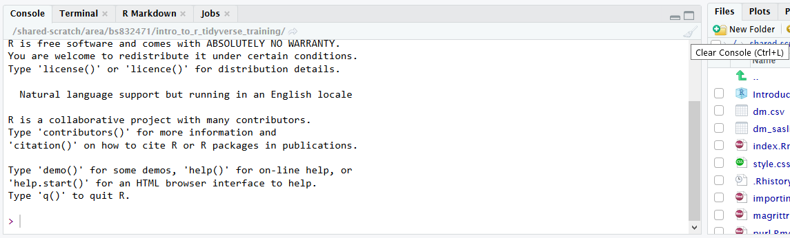 2 Introduction to R and RStudio – Introduction to R and the tidyverse