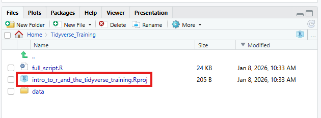 1 Course Materials – Introduction to R and the tidyverse